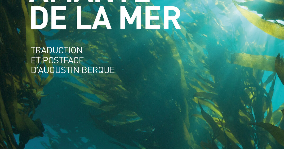 La Forêt amante de la mer, Hatakeyama Shigeatsu – Éditions Wildproject